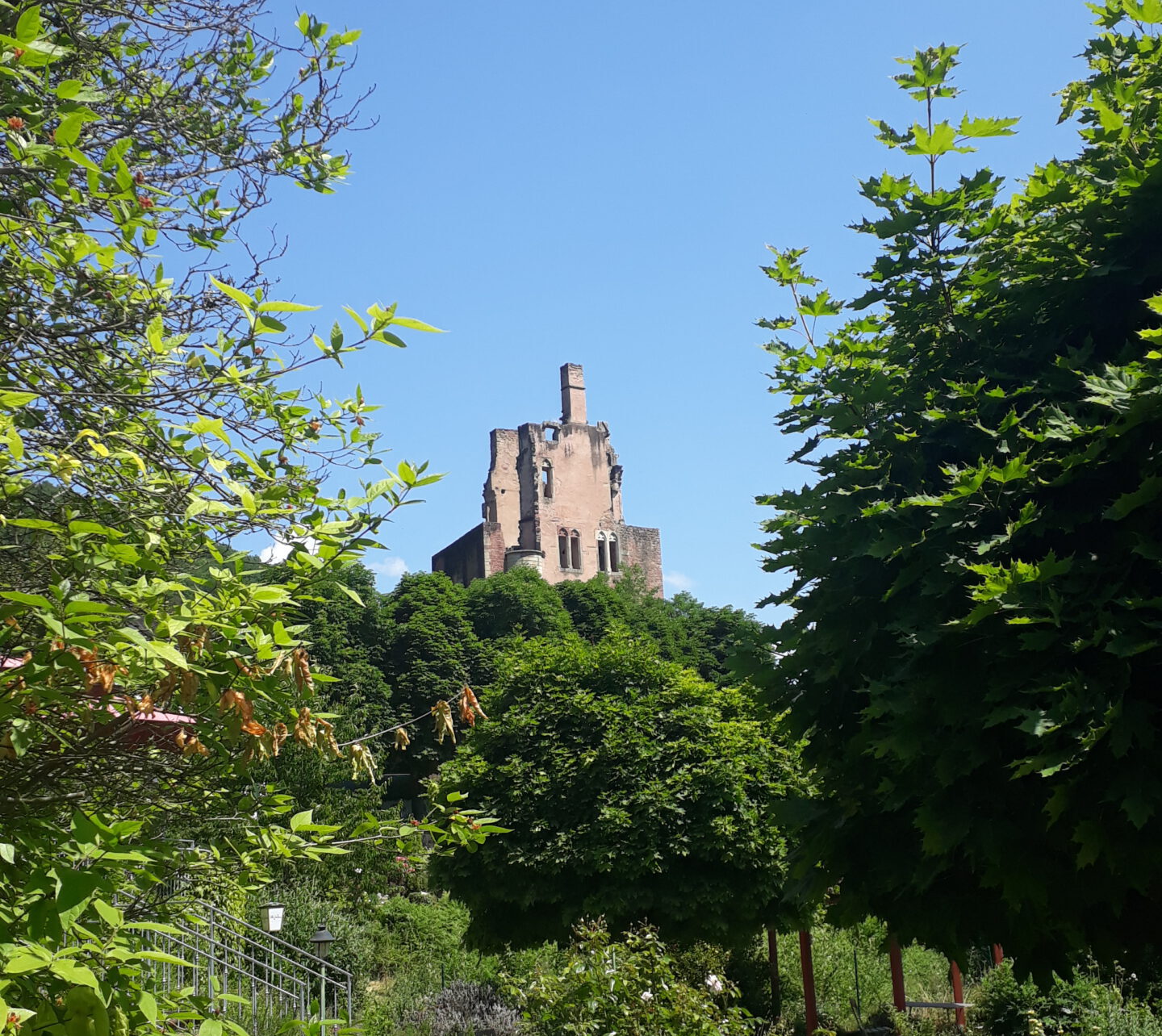 Herzlich willkommen auf der Burg Ramstein! - Die historische Burg Ramstein